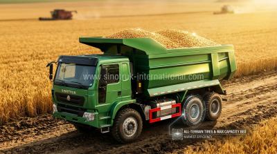 China Heavy Duty SINO HOWO Trucks / 10 Wheeler Dump Truck 371HP Low Fuel Consumption for sale