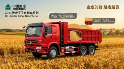 China SINOTRUK Golden Prince Dump Truck 10Wheels 336HP RHD 25-30tons ZZ3251N3641W for sale