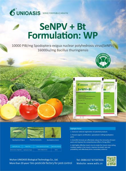 Quality Natural bioinsecticide sprays for Maize Crops biopesticides used for management for sale