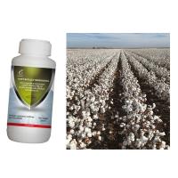 Quality Spray HaNPV Pure Biological Preparation 10 Million PIB/ML 2000IU/ML Bt Kill for sale