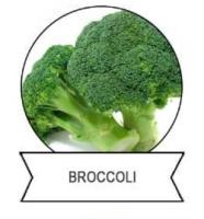 Quality Agriculture Pesticide Biological Insecticides PrGV Bacillus Thuringiensis Good Effect on Cabbage Worm for sale