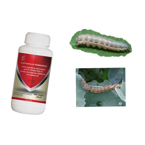 Quality Organic Certified Maize Crop Pesticides with 2 Years Shelf Life in Liquid Formulation for sale