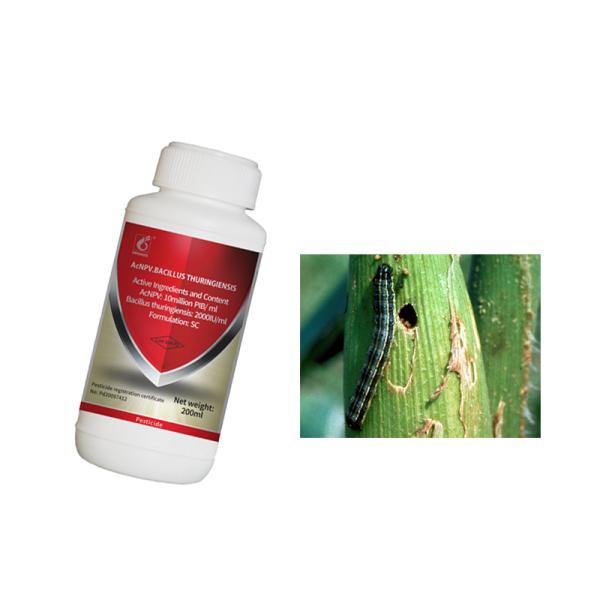Quality Organic Pesticides Future Trend Safe Farming Bioinsecticide Suspension Concentrate AcNPV Bt for sale