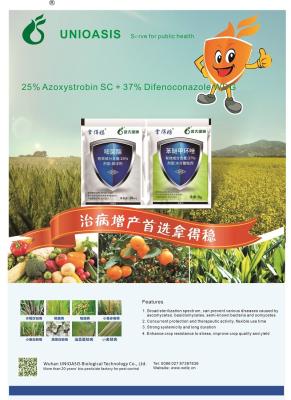 China 37% Difenoconazole WDG + 25% Azoxystrobin Fungizid Sc Nativo für Reis-Paddy zu verkaufen