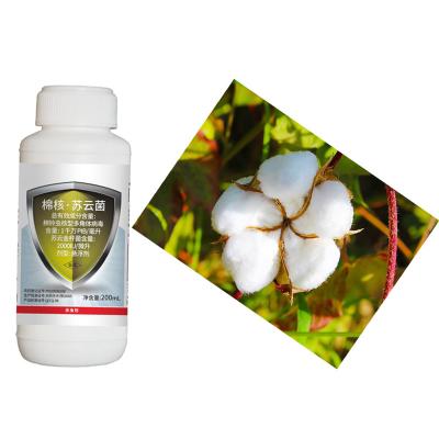 Cina Cotton Boll Worm Pesticidi organici cotone naturale insetticidi biologici Ambiente Pesticidi protettivi in vendita