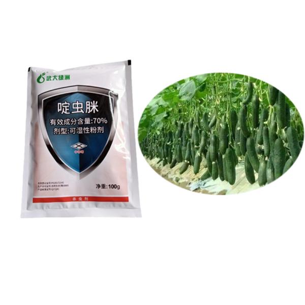 Quality Safe 70% Acetamiprid Insecticide WP For Vegetable Plants Aphid Killing for sale