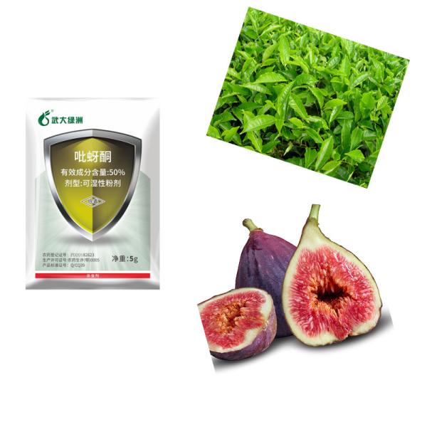 Quality 50% Pymetrozine WP Natural Vegetable Insecticide Kill Cabbage looper for sale