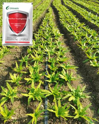 China Bacilo biológico Thuringiensis dos inseticidas das pragas da colheita para lagartas à venda