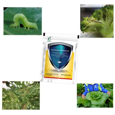 China 液体殺虫剤 PrGV Plus Bacillus Thuringiensis 500 Gr カブスワームのために for sale