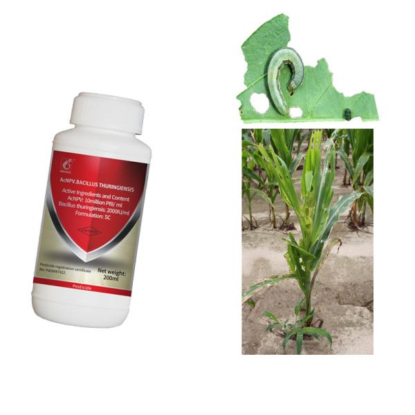 Quality Pests killing organic pesticide manufacturer customized packing AcNPV agriculture filed for sale