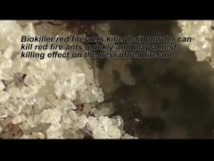 Feuer-Ant Insecticide Home Pest Ant-Pulver 1% Hydramethylnon ODM natürliches