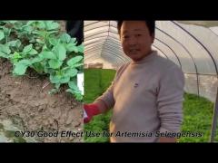 Bacilos Velezensis para la agricultura Flüssiger Dünger für Pflanzen (Bacillus Velezensis pour l‘agriculture) Il est utilisé dans les plantes