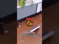 5g Biological Cockroach Gel Formulation Get Rid Of Cockroaches For Pest Control