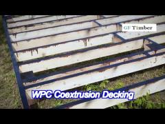 Vuurvaste co-extrusie WPC ontworpen decoratieve houten vloeren