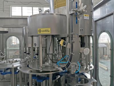 Cina Macchina imballatrice dell'acqua minerale sanitaria del liquido corrente SUS304 in vendita