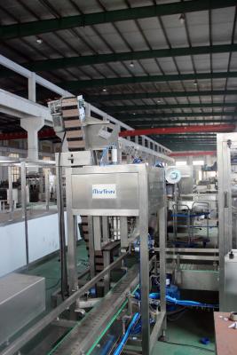 Cina Velocità veloce affidabile imbottigliatrice dell'acqua da 5 galloni per capacità elevata in vendita