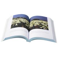 China Softcover Coloring Book Printing Services Lamination finishing for sale