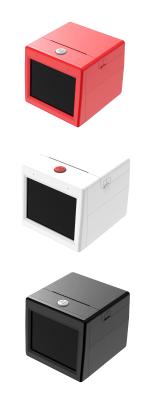 China Q15 AI Pocket Printer Thermal Instant Printer With Voice Printing for sale