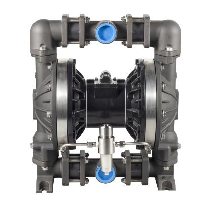 China Leak-Detective Pneumatic Diaphragm Pump AI-Driven Anomaly Detection for Enhanced Predictive Maintenance for sale