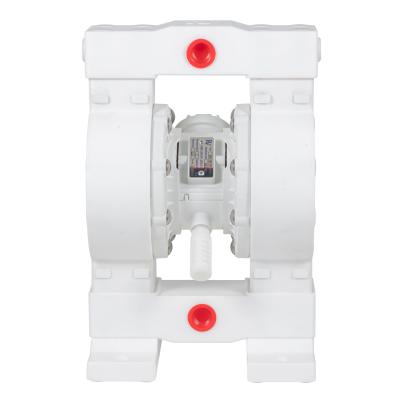 China RV PTFE Diaphragm Pump 36lpm Max Flow 100psi Pressure for sale