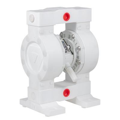 China RV PTFE Diaphragm Pump 36lpm Max Flow 100psi Pressure for sale