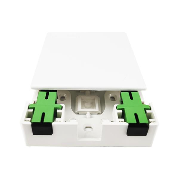 Quality 2 Cores Plastic Fiber Optic Faceplate Socket Panel Network for FTTH Indoor for sale