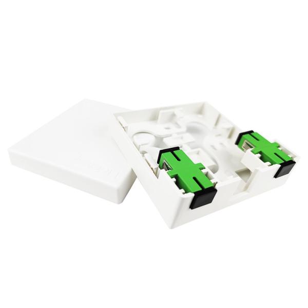 Quality 2 Cores Plastic Fiber Optic Faceplate Socket Panel Network for FTTH Indoor for sale