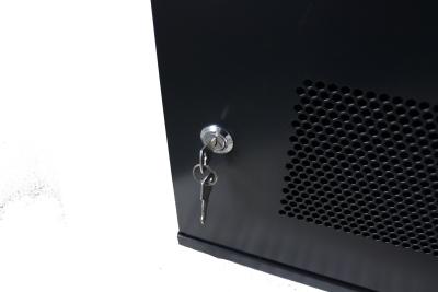 Cina 19' International Standard 12U Wall Mount Network Cabinet con porta perforata in vendita
