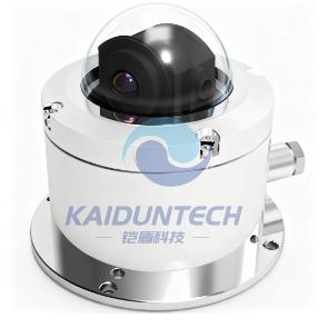 China Atex Approval Hash Environment Explosion Proof Anti-Corrosion PTZ IR Dome IP CCTV Camera for sale