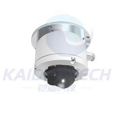 China Atex Approval 2MP 1X Explosion Proof Anti-Corrosion PTZ IR Dome IP CCTV Camera for sale