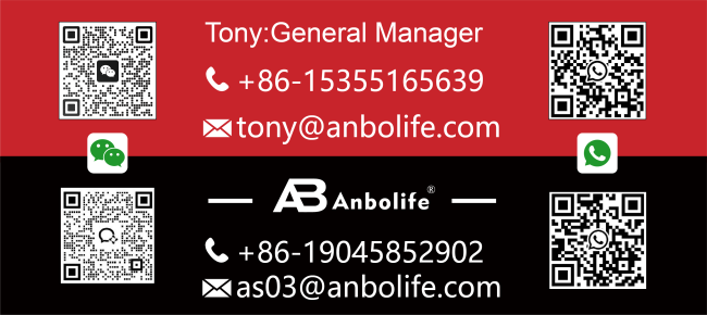 Anbolife 2 in 1 Coffee Machine