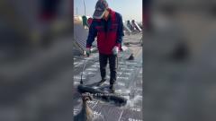 Introduction to Hot‑melt Construction for SBS Waterproof Membrane