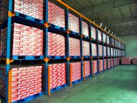 China Industrial Drive-In Pallet Rack System - 5000mm Height, 2000KG Capacity, Cold-Rolled Steel Construction for sale