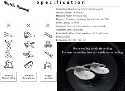 China Lasertell ODM Ems Muscle Stimulator Machine for sale