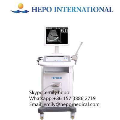 China Cheap Price Medical Equipment Digital B&W Ultrasound Scanner for sale