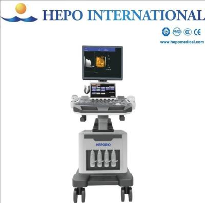 China 15