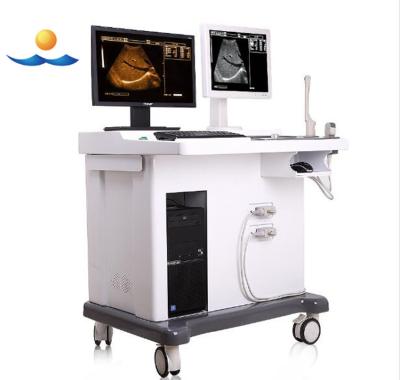 China 14 inch monitor medical device digital ultrasound system with workstation for sale