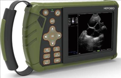 China portable B/W vet ultrasound scanner 3D workstation with CE digital color doppler for sale