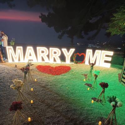 Cina Infissi a neon personalizzati illuminano le lettere per la festa di nozze in vendita