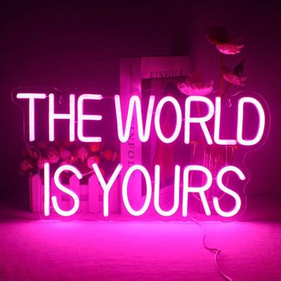 Cina 50000 ore di tempo di lavoro Segnali di neon personalizzati fai da te per la decorazione del bar di nozze in vendita