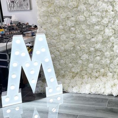Cina Big Wedding Letters personalizzati 12V Input Voltage Decorazione di festa con luci in vendita
