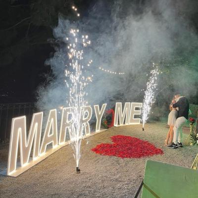 Cina Marquee personalizzato illumina lettere segno al neon per il tuo matrimonio Un matrimonio fatto in cielo in vendita