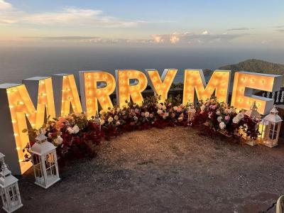 Cina Marquee personalizzato illumina lettere segno al neon per il tuo matrimonio Un matrimonio fatto in cielo in vendita
