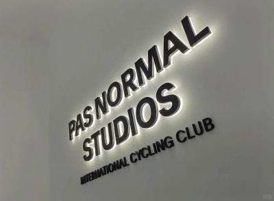Cina Snow Outdoor LED Channel Signage Lettera LED 3D personalizzata per pubblicità e spa in vendita