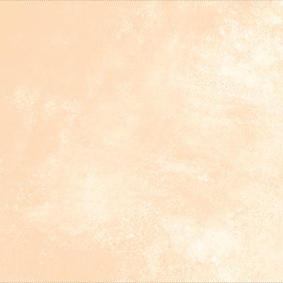 China 600x600mm porcelain rustic tile,matt floor tile,new design,three color for sale