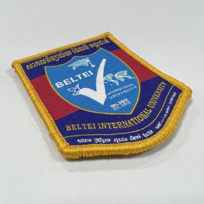 Cina La lettera parziale uniforme del ricamo rattoppa il ferro sulle toppe per il logo della scuola in vendita
