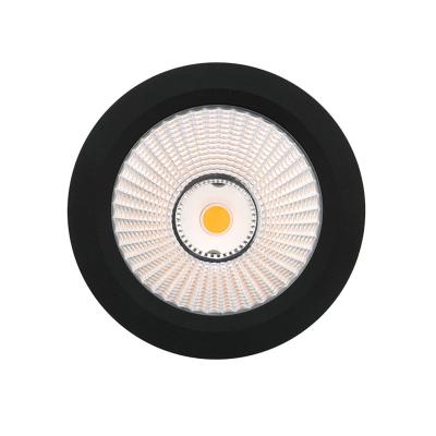 Cina 1000lm anabbagliante Downlight montato di superficie 10W in vendita