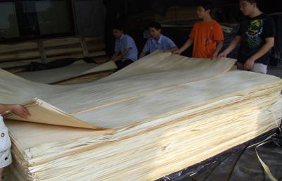 Cina 0,20 ~ 0,60 millimetri di impiallacciatura rotatoria del taglio in vendita