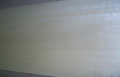 Cina Impiallacciatura affettata di legno di betulla bianca del taglio prefinita con spessore di 0.5mm in vendita