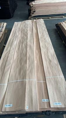 China Unfinished Oak Veneer with Straight Grain Pattern Elevate Your Furniture to the Next Level for sale